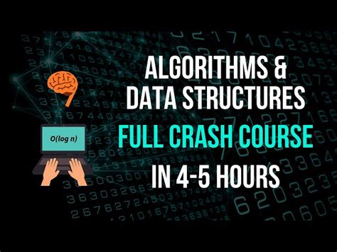 Understanding Algorithms And Data Structures A Comprehensive Crash Course Galaxyai