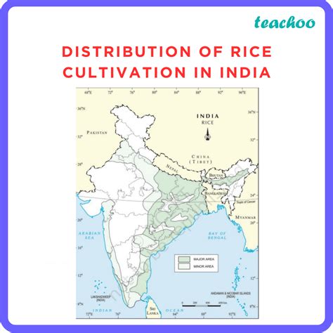 Geography Map Based Agriculture Class 10 Teachoo Concepts