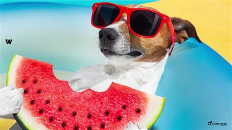 Spanning Cloud Apps On Linkedin Relax With Spanning