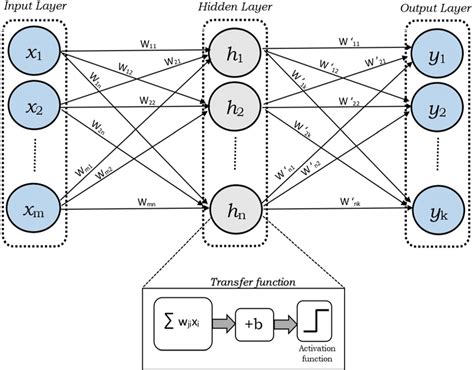 typical neural network architecture download scientific diagram