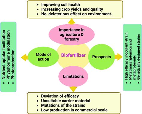 Overview Of The Manuscript Download Scientific Diagram