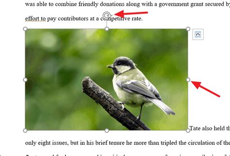 How To Wrap Text In Word
