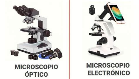 Microscopio óptico Vs Electrónico Descubre Las Diferencias Y Elige El