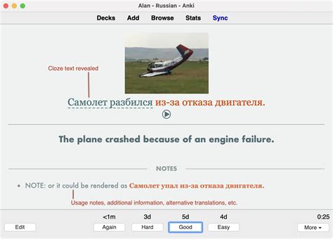 A Deep Dive Into My Anki Language Learning Part Iii Sentences Ojisan Seiuchi