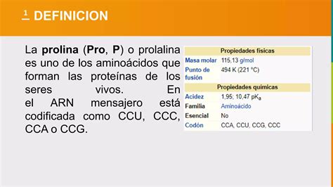 Prolina Caractersticas Estructura Funciones Alimentos