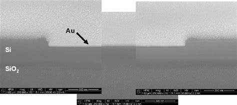 Composite Image Of Three Fib Cross Sections Of The Fabricated Samples Download Scientific Diagram