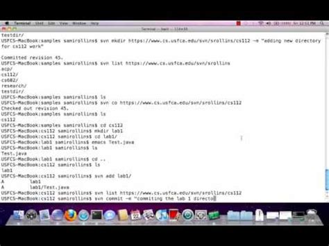 Basic SVN Tutorial YouTube