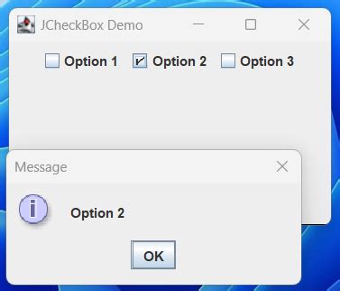 JCheckBox In Java Swing CoderSathi