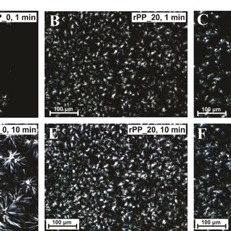 Polarizing Optical Microscopy Of The Nucleation And Growth Processes Of