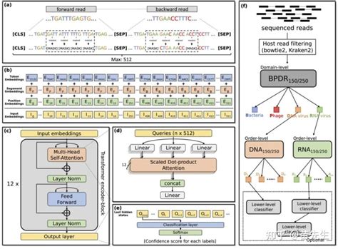 利用深度学习从宏基因组数据中预测抗生素抗性基因 知乎