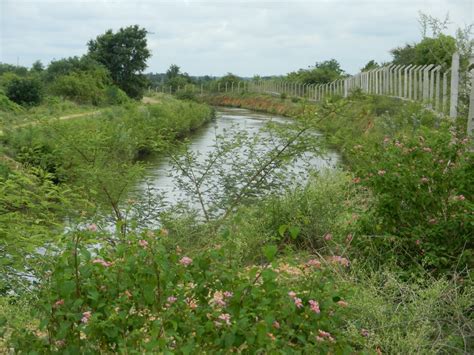 Impact Of 98 Mini Hydel Projects On Cauvery On Bangalores Water Supply Sandrp