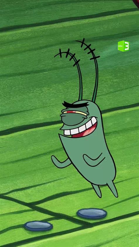 الأميرات الساحرات ممنوعات من السحر ولكن الأميرات الساحرات ممنوعات