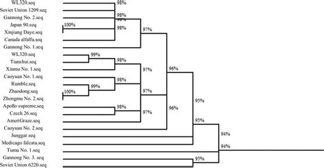 Alfalfa Similarity Clustering Of Trnl F Sequences Download