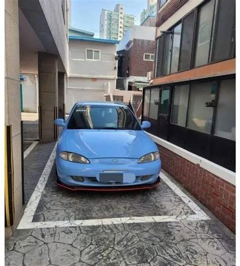 블라인드 자동차 아반떼n 기깔나네