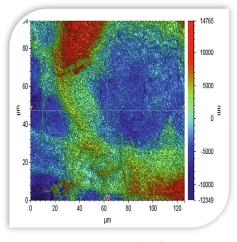 Spray Coated Cellulose Nanofiber Films Preparation Characterization