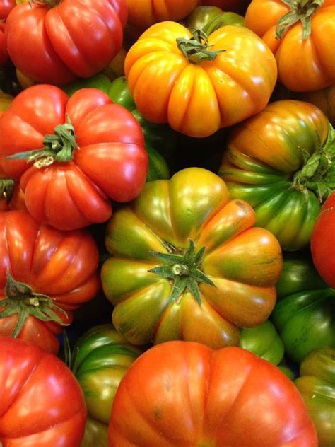 21 Of The Best Heirloom Tomato Varieties Artofit