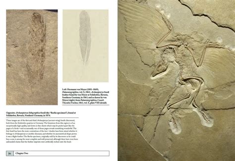 Paleontology An Illustrated History Nokomis