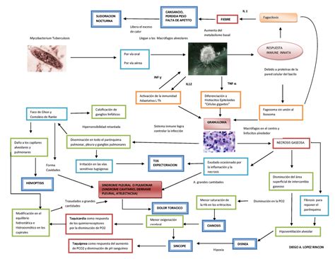 106760378 Fisiopatologia De La Tuberculosis Debido A Proteínas De La
