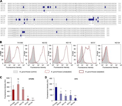 Pathogenic Neisseria Bind The Complement Protein Cfhr5 Via Outer