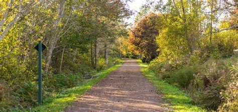 Confederation Trail Recommendations Available Online Government Of