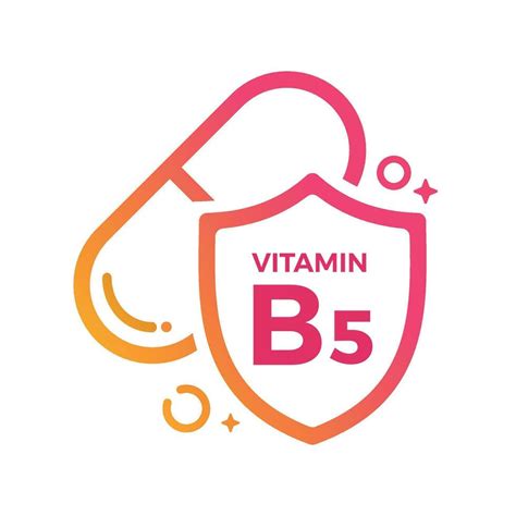 Vitamin B5 Pill Shield Icon Logo Protection Medicine Heath Vector