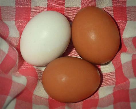 Fa Class 3 Photograph By Bob Mcdonnell Fine Art America