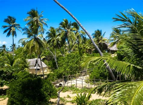 1개의 Aleida Background 이미지 스톡 사진 3d 오브젝트 벡터 Shutterstock