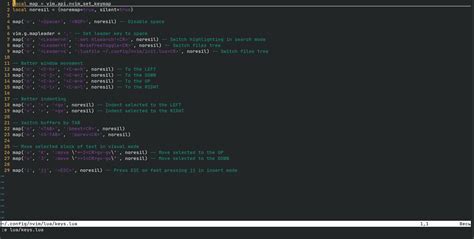 Vims Settings Written In Lua Doesnt Work In Some Files · Issue 14654