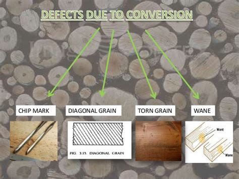 Defects In Timber