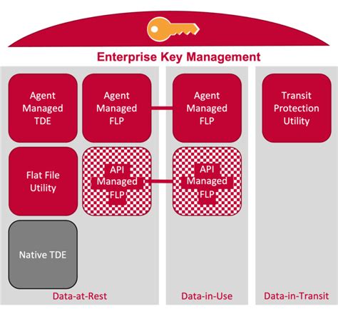 Randtronics Data Privacy Manager
