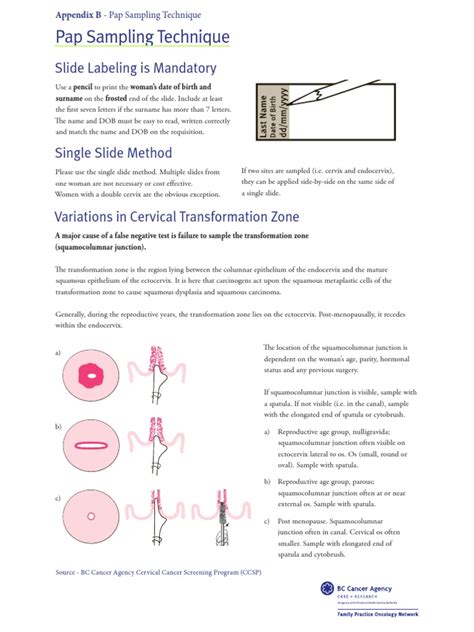 Pap Sampling Technique Pdf Sexual Anatomy Medical Specialties