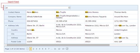 Search Panel ASP NET Web Forms Controls DevExpress Documentation