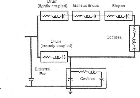 Figure 11 From Finite Element Model Of The Human Eardrum And Middle Ear Semantic Scholar