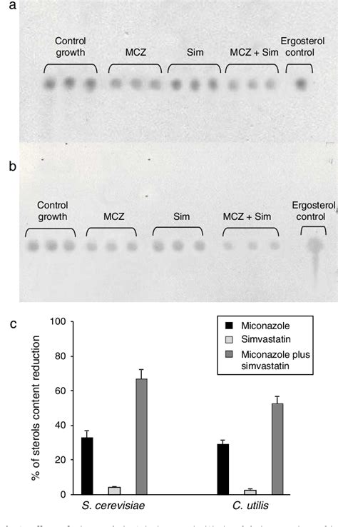 Table 1 From Synergistic Antifungal Activity Of Statin Azole