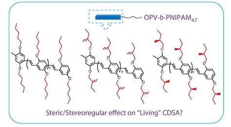 Issue 4 Year 2023 高分子科学（英文版）