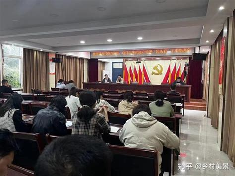 方城县独树镇：靶向整改“晋档升级” 持续助力乡村振兴 知乎