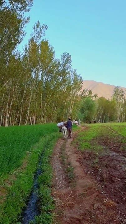 Bamyan Hazaragi Love Nature بامیان کچالو Travel Youtube