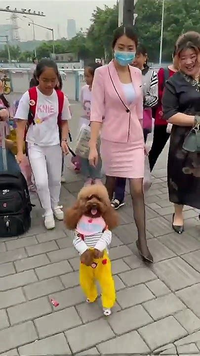 Антропоморфи́зм и Фурри Батл А Я иду такая вся в Дольче Габбана Верка Сердючка Youtube