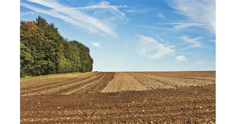 Експерти съветват Продажбата на ниви сега E най изгодна Български Фермер