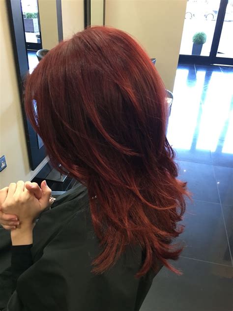 Chroma Ruby Hair Color Colorfeda