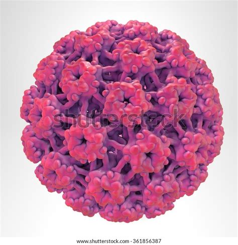 Categoría «hpv Particle De Fotos E Imágenes Shutterstock