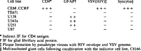 Cell Surface Characteristics Of Brain Cell Lines Download Table