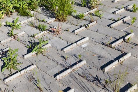 Anchoring On Bridges And Other Structures Stock Image Image Of Connection Structure 226054715