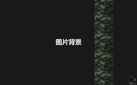reveal js markdown 制作幻灯片——配置选项，幻灯片背景，尺寸，插入媒体，链接 csdn博客