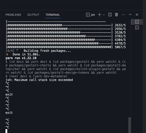 terminal hangs on start script maximum call stack size exceeded