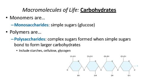 Macromolecules Describe The Basic Molecular Structure Of The