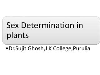 Sex Determination Ppt