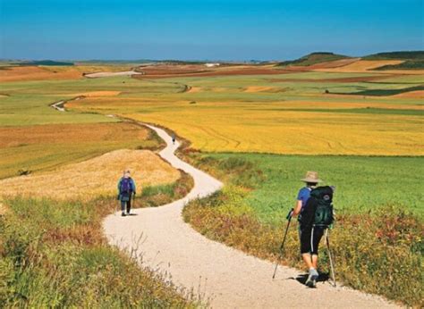 부엔 까미노스페인 산티아고 순례길의 모든 것 비용 코스 여행팁 여행톡톡