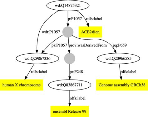 Example Of An Rdf Data Model Representing Ace2 Created With Rdfshape 32 Download Scientific