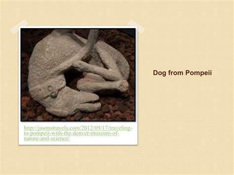 Fossilization Ppt PPTX Chemistry Science
